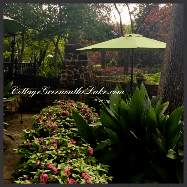 Tyler, Texas Azalea and Spring Flower Tour, Azalea Festival – Cottage ...