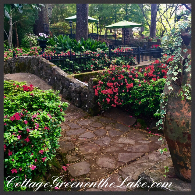 Tyler, Texas Azalea and Spring Flower Tour, Azalea Festival – Cottage ...